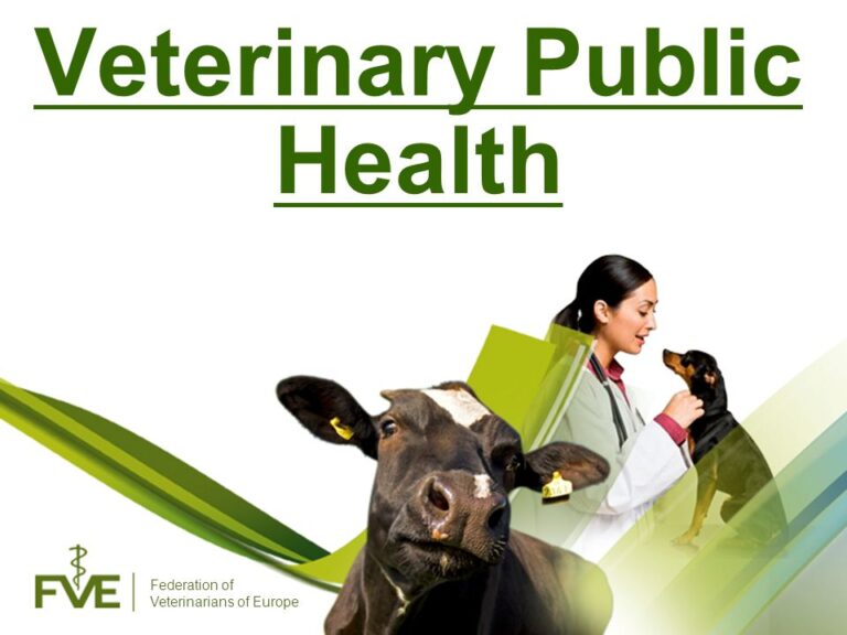 How To Become a Public Health Veterinarian In Nigeria | Public Health