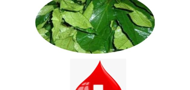 Public Health Information - Public Health