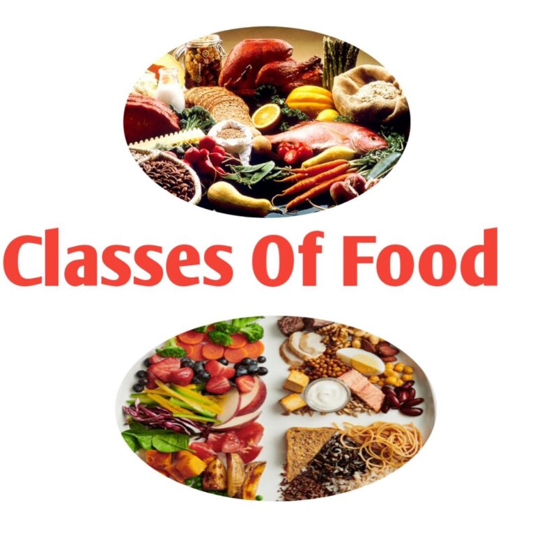 Six Classes Of Food: Functions, Sources and Examples - Public Health