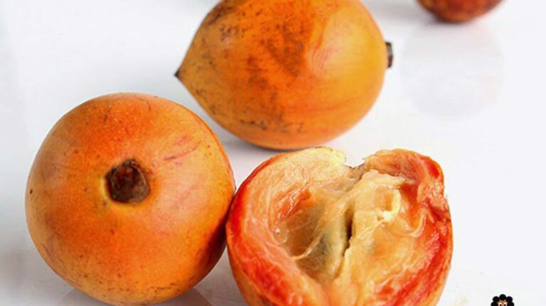 Health Benefits and Side Effects Of Agbalumo - Public Health