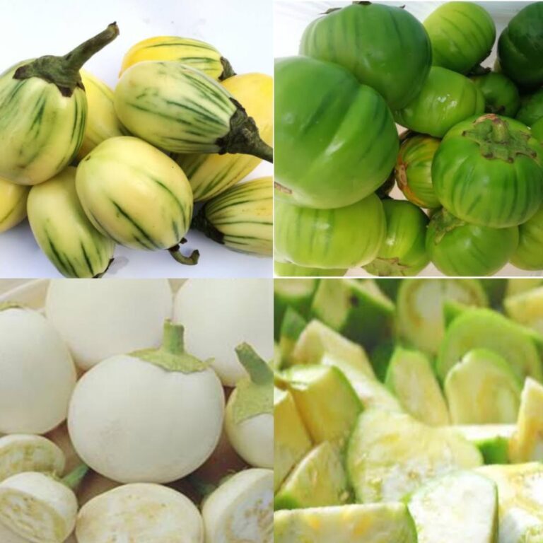 Health Benefits and Side Effects of Guinea corn - Public Health