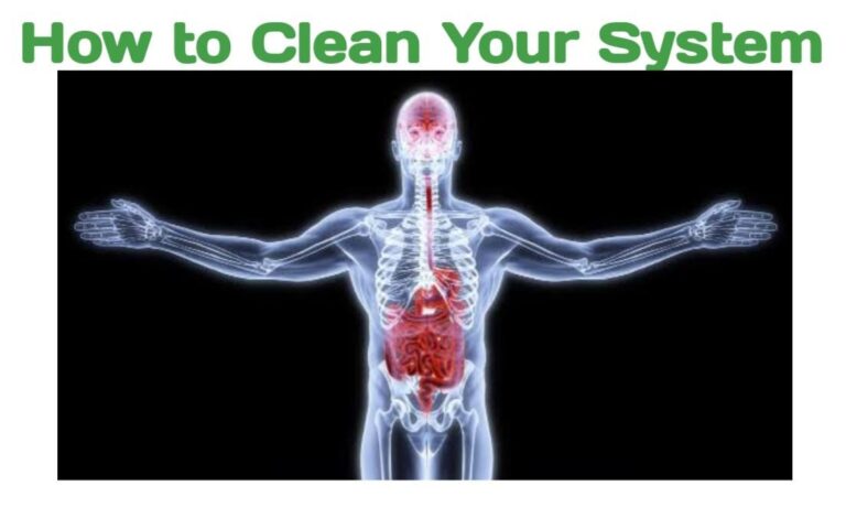 How to Clean Your System Out From Drugs and Alcohol - Public Health