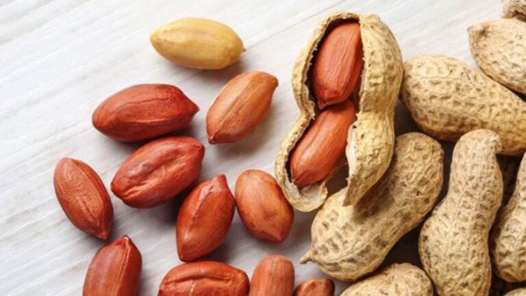 Health Benefits and Side Effects Of Groundnut Water – Public Health