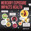 List Of Mercury Containing Soaps and Creams - Public Health