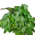 Oha Leaf Health Benefits and Side Effects - Public Health