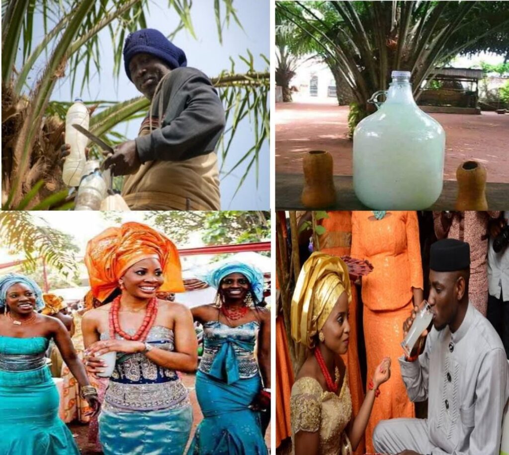 Palm Wine; Uses, Health Benefits, Side Effects - Public Health