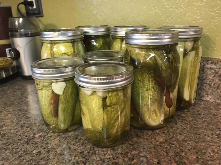 Can Pickles Kill You? – Public Health