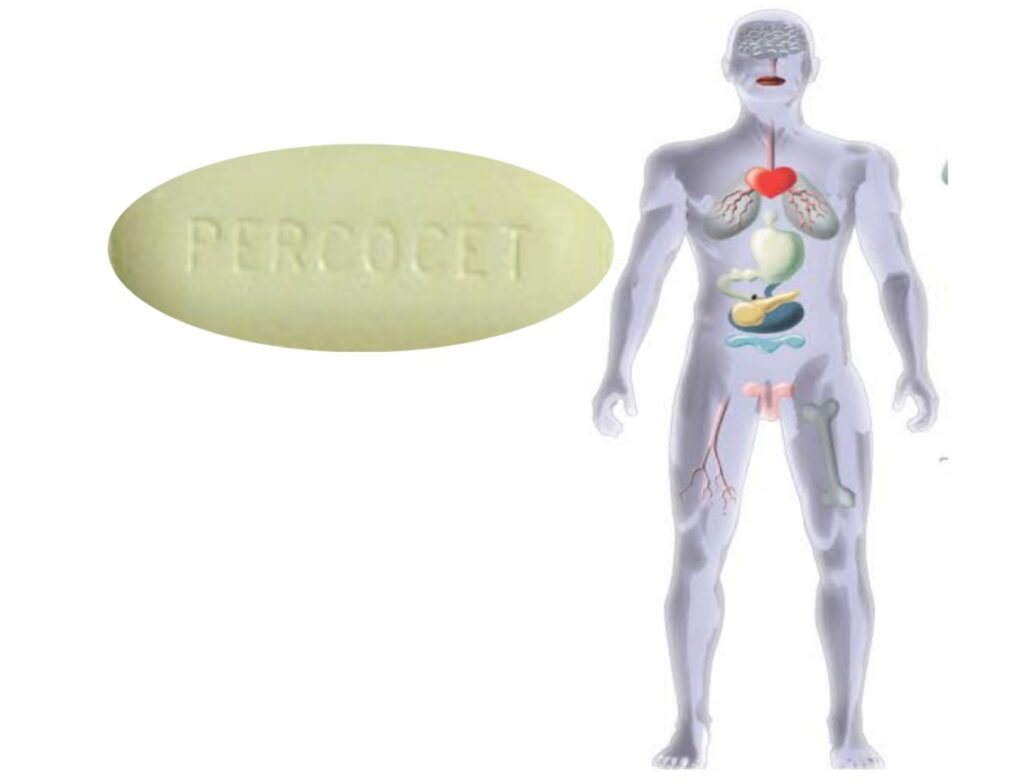 How Long Does Percocet Stay In Your System? - Public Health