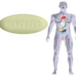 What Does Percocet Look Like? - Public Health