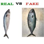 How to Identify Fake Scallops - Public Health