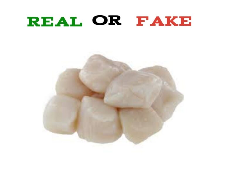 How to Identify Fake Scallops | Public Health