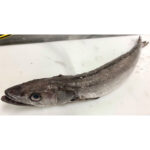 Panla Fish Benefits And How To Prepare It - Public Health