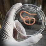 Is Feces A Biohazard? – Public Health