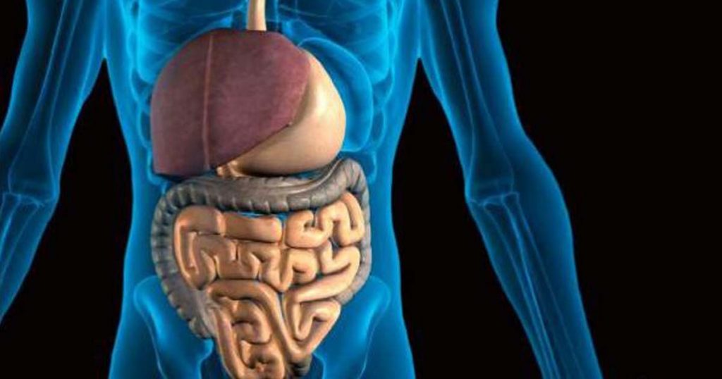 Beat the Bloat: Improve Your Digestion Today - Public Health