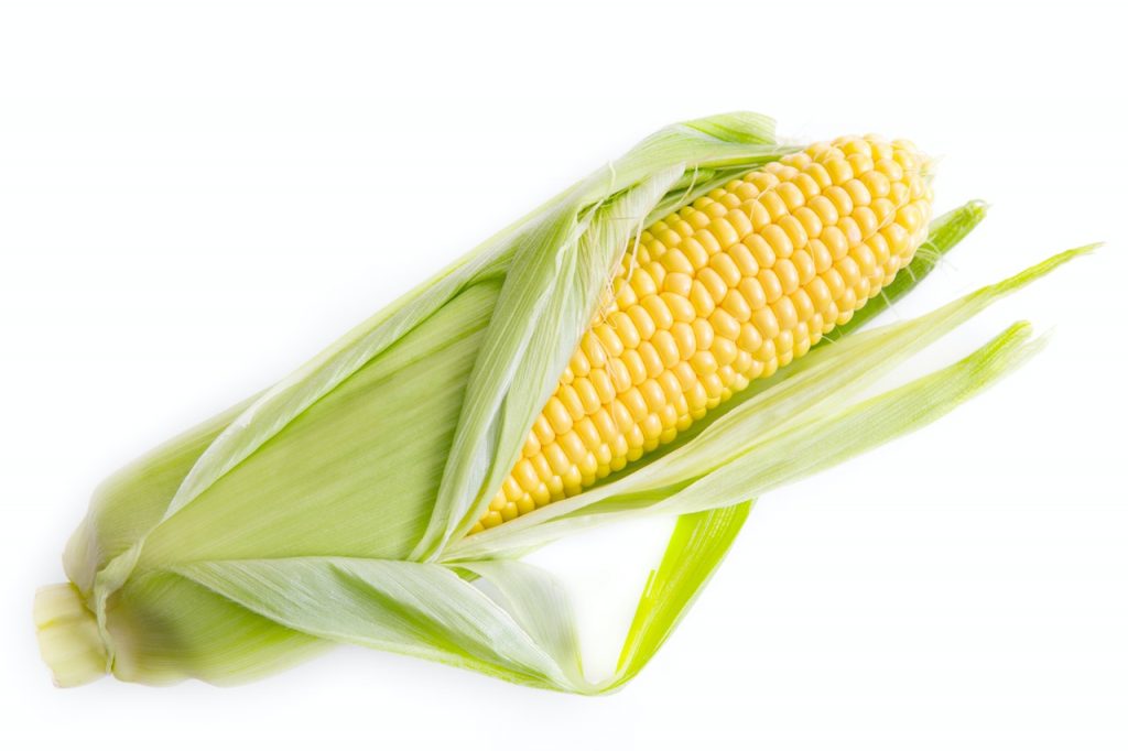 List of Corn (Maize) Intolerance Symptoms You Should Know – Public Health